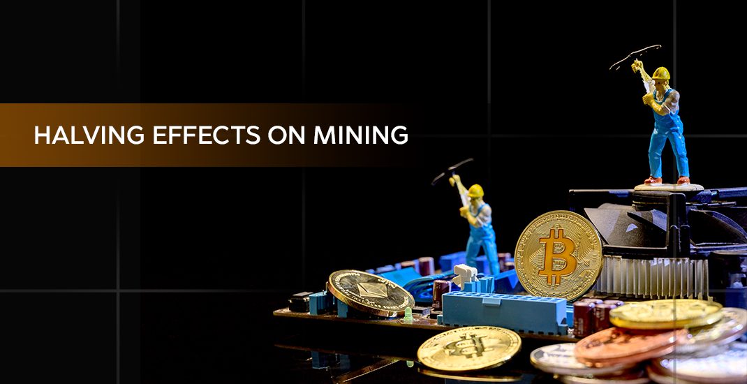Adapting to Halving Effects on Mining & QTC's First Cycle